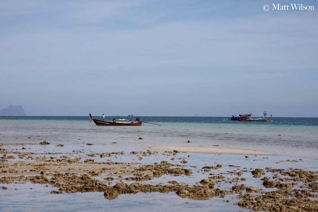 Sea krait islands – Amphibian & Reptile Travels