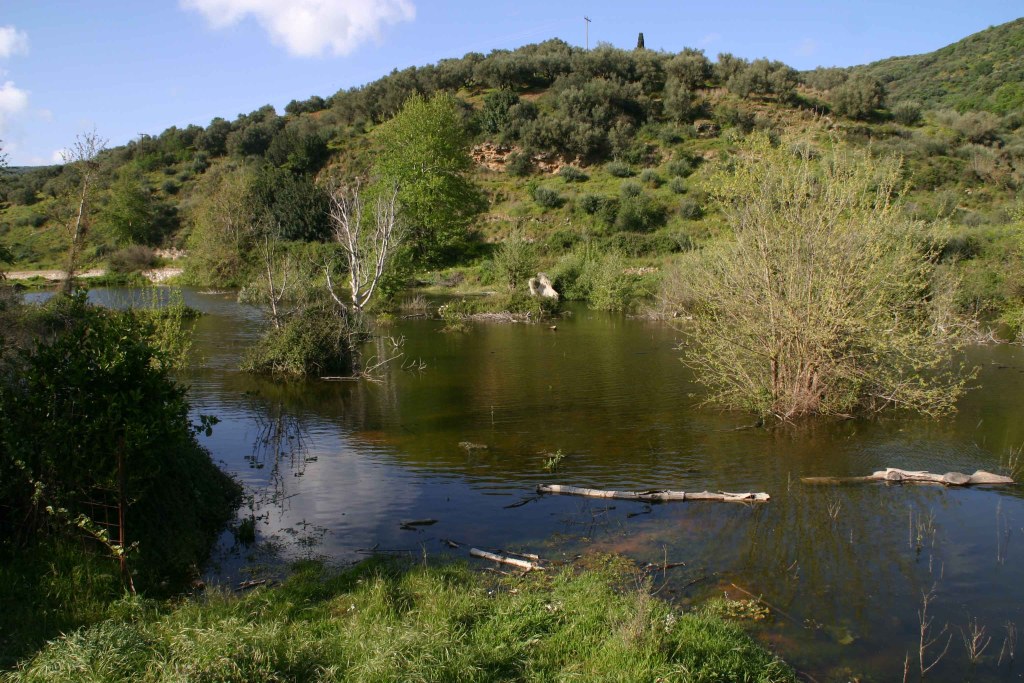 Crete 09 – Amphibian & Reptile Travels